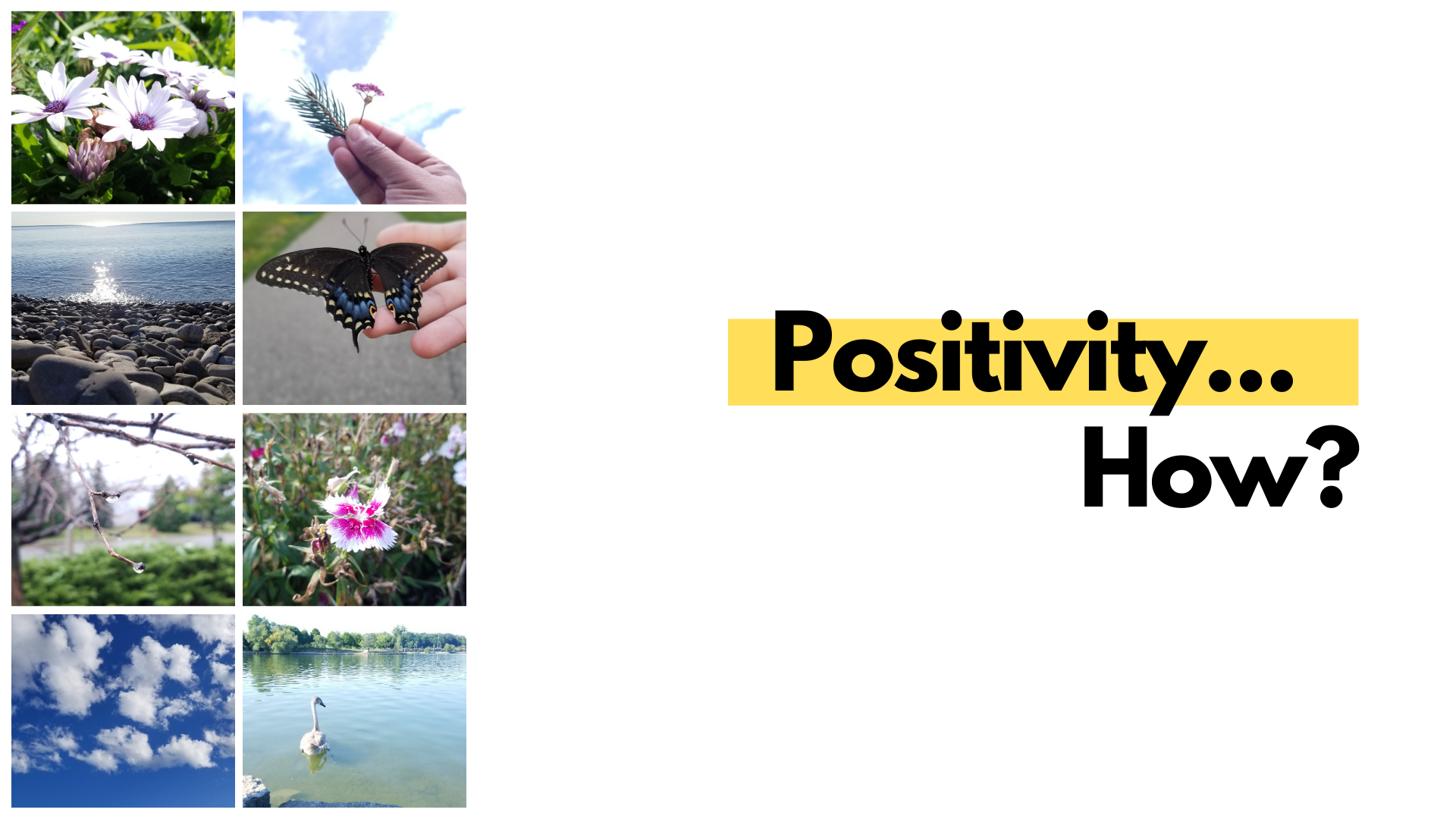 How To Be Positive | Blogs | The Thoughts